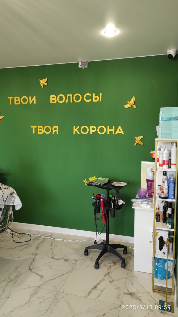 Güzellik salonu ТК Studio, Kursk, foto