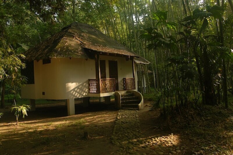 Doğa koruma alanı Reserva La Paz - Fundación Selva Vida Sin Fronteras, , foto