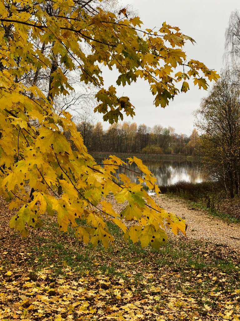 Yazlık yerleşim Лобаново, Moskova ve Moskovskaya oblastı, foto