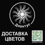 Диантус (Kosmonavtov Street No:39), çiçekçiler  Koroliov'dan