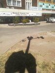 Fundlink (Lusaka, Central Business District), mikrofinans  Lusaka'dan