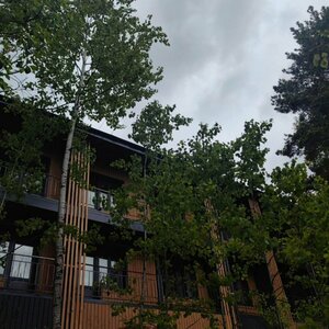 Гэсэр парк-отель (Republic of Buryatia, Pribaykalskiy rayon, selskoye poseleniye Gremyachinskoye), otel  Buriatya'dan
