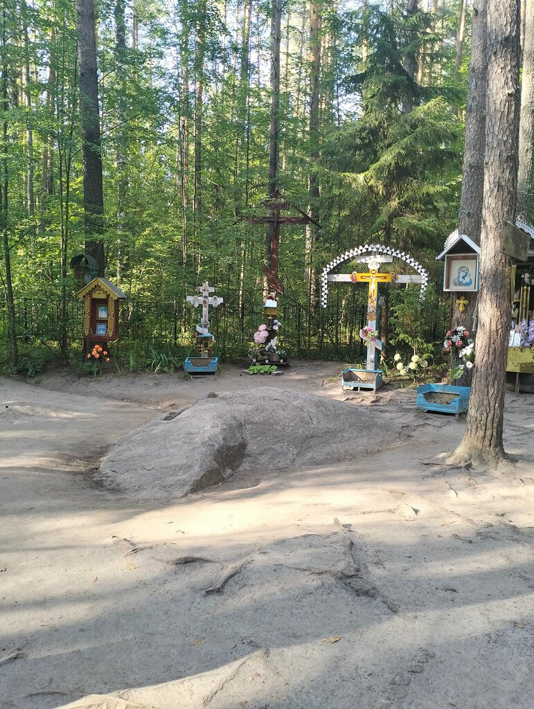 Ortodoks kiliseleri Введенский скит Серафимо-Понетаевского монастыря, Nijegorodskaya oblastı, foto