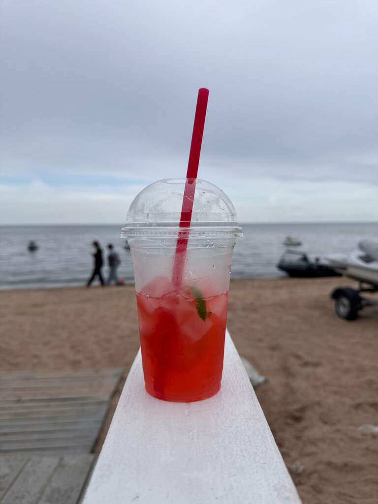 Kafe Ladoga coast, Saint‑Petersburg ve Leningradskaya oblastı, foto