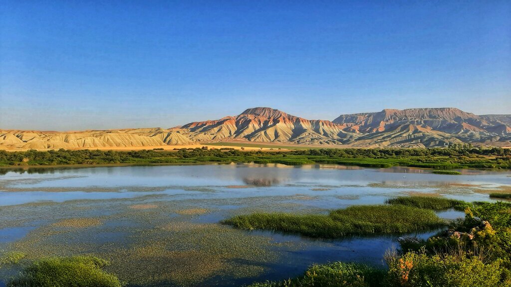 Turistik yerler Yaban Hayatı Geliştirme Sahası Nallıhan Kuş Cenneti, Nallıhan, foto