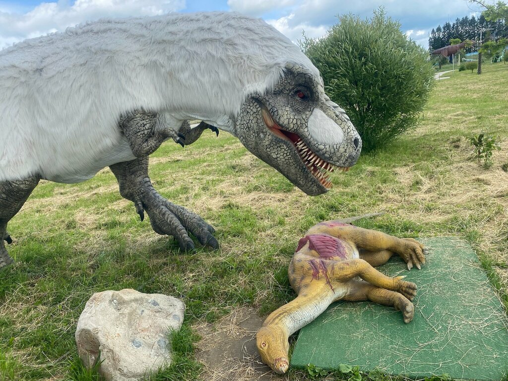 Kültür ve eğlence parkları Динопарк, Vologodskaya oblastı, foto