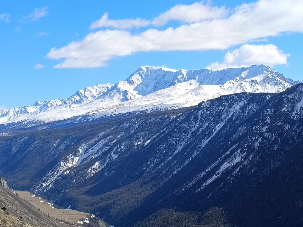 Dağ zirvesi Гора Белькенек, Altay Cumhuriyeti, foto