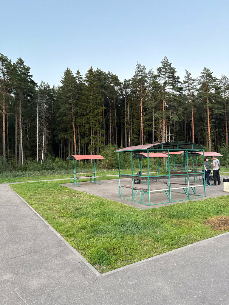 Yol kenarı dinlenme alanı Придорожная зона отдыха, Tverskaya oblastı, foto