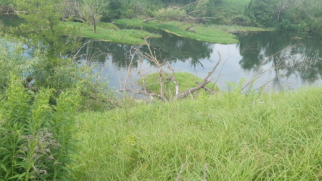 Plaj Beach, Moskova ve Moskovskaya oblastı, foto