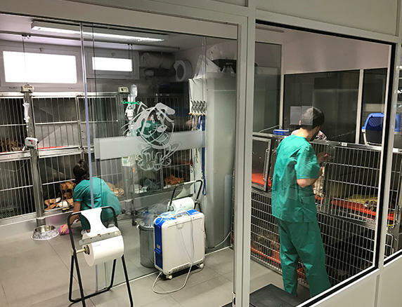 Veteriner klinikleri Hospital Veterinari de Lleida SL, Lleida, foto