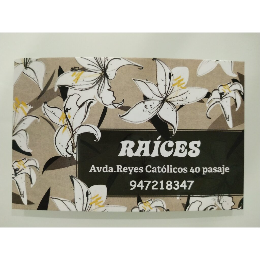 Kuaförler Raices Peluqueria Floristeria S. C., Burgos, foto