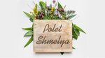 Polet Shmelya (улица Адмирала Фадеева No:1), çiçekçiler  Sevastopol'dan