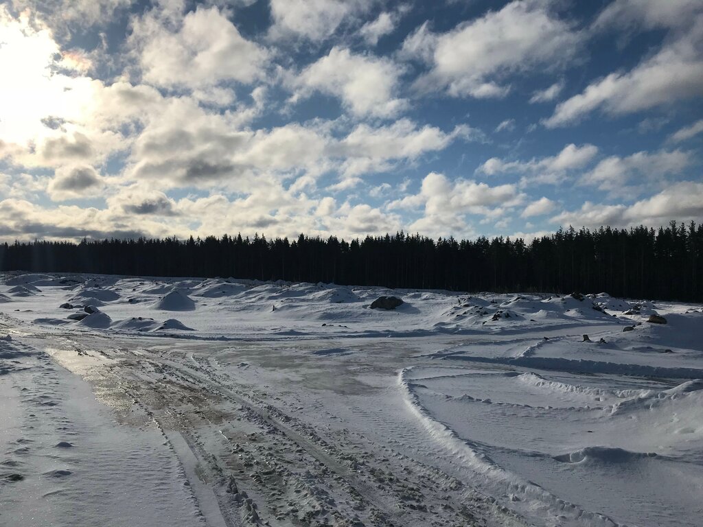 Endüstriyel mineraller Vesnino-1, Saint‑Petersburg ve Leningradskaya oblastı, foto