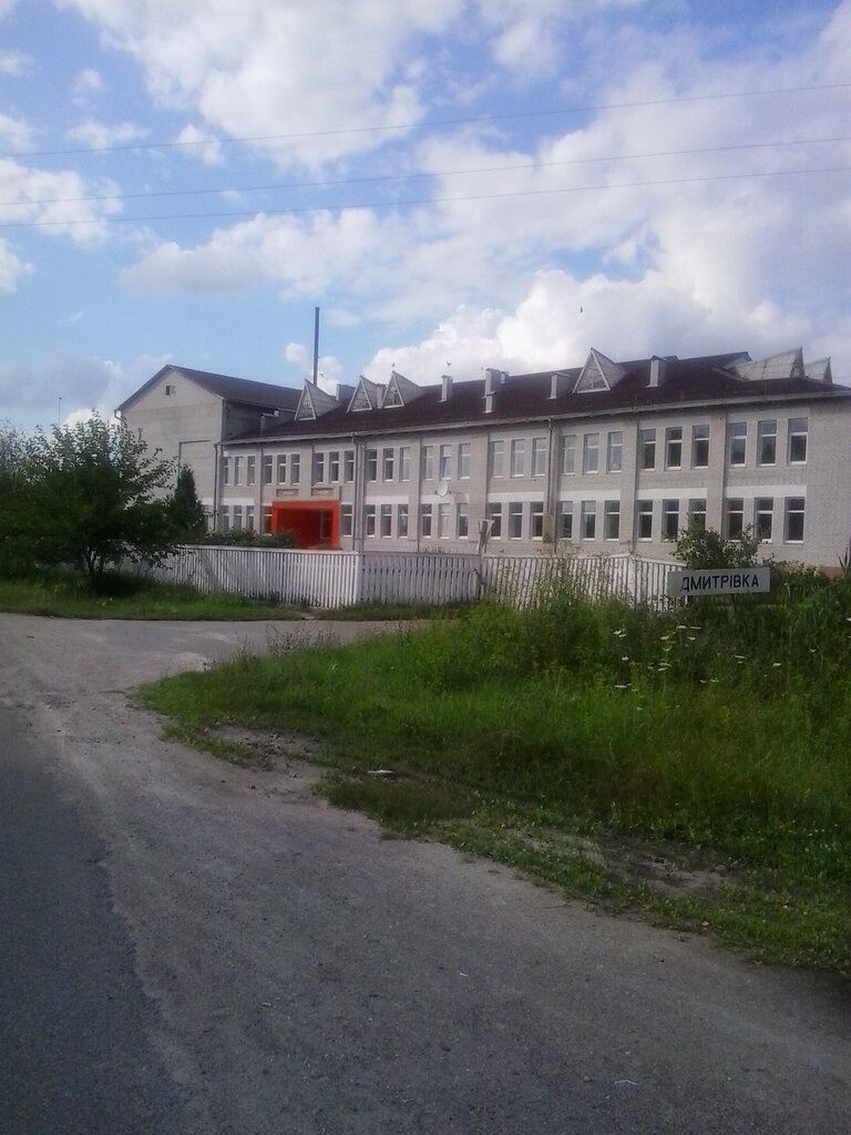 Ortaokul Школа, Kiev Bölgesi, foto