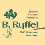 Gärtnerei B. Ryffel (Bern, Interlaken, Seestrasse, 27), yapay bitki ve çiçek  Bern'den