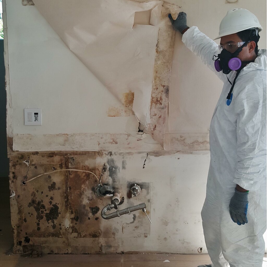 Çöp hizmetleri Fundisa Restoration, West Palm Beach, foto