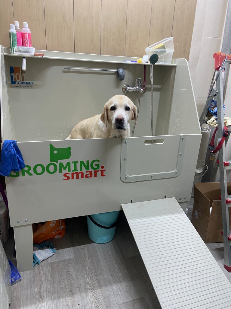 Petshop Арго, Moskova, foto