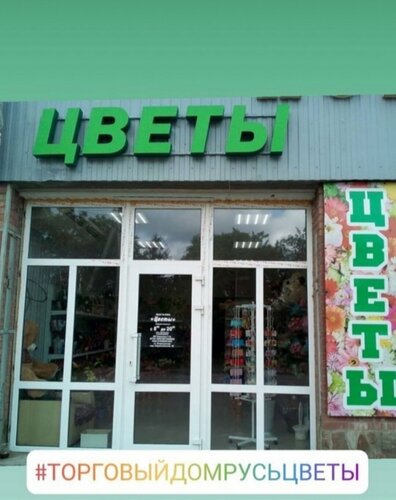 Alışveriş merkezleri Русь, Rostovskaya oblastı, foto