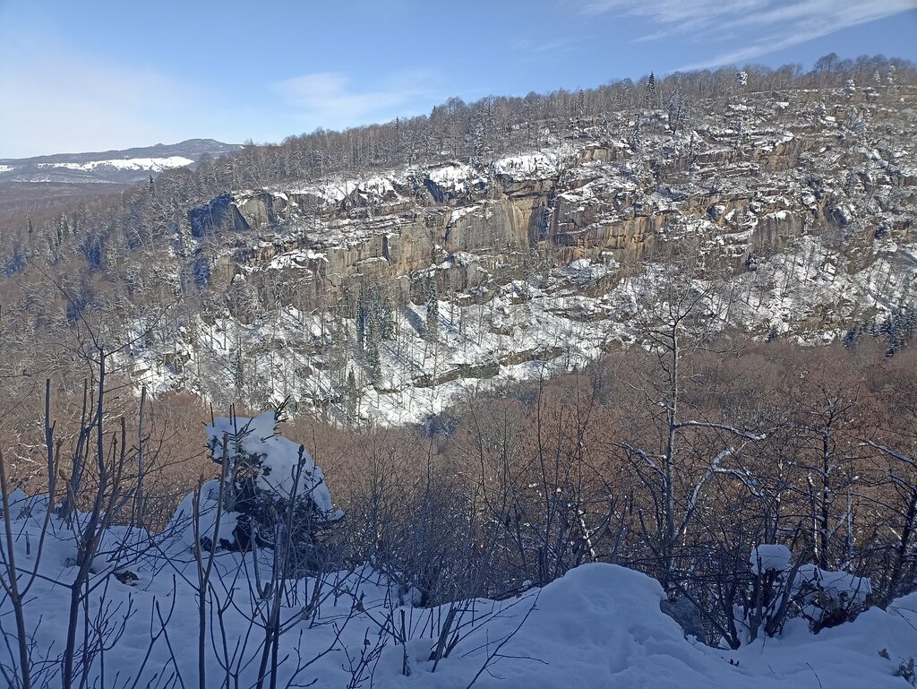 Parklar ve ormanlar Кемпинг лагерь с удобствами и рыбалкой Сушковая Балка, Krasnodarski krayı, foto