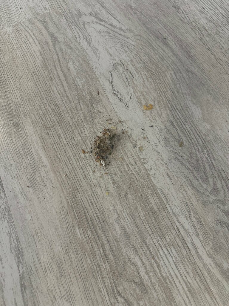 Konuk evi I love Gesh, , foto