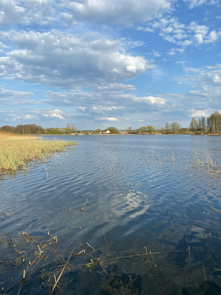 Plaj Пляж, Vitebskaya oblastı, foto