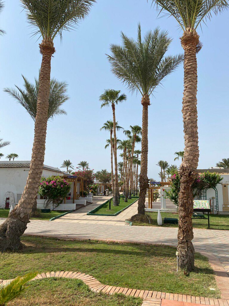 Seyahat acenteleri Sunmar, Moskova, foto