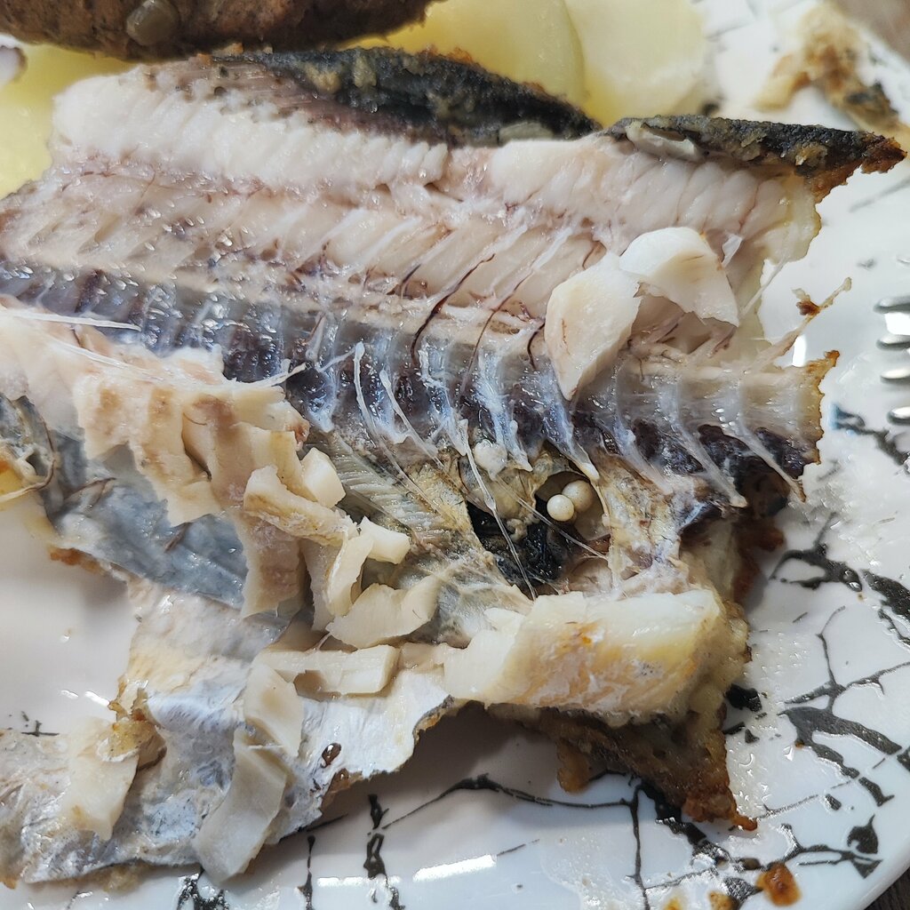 Balık ve deniz ürünleri Rybny magazin Kapitan, Vladimir, foto