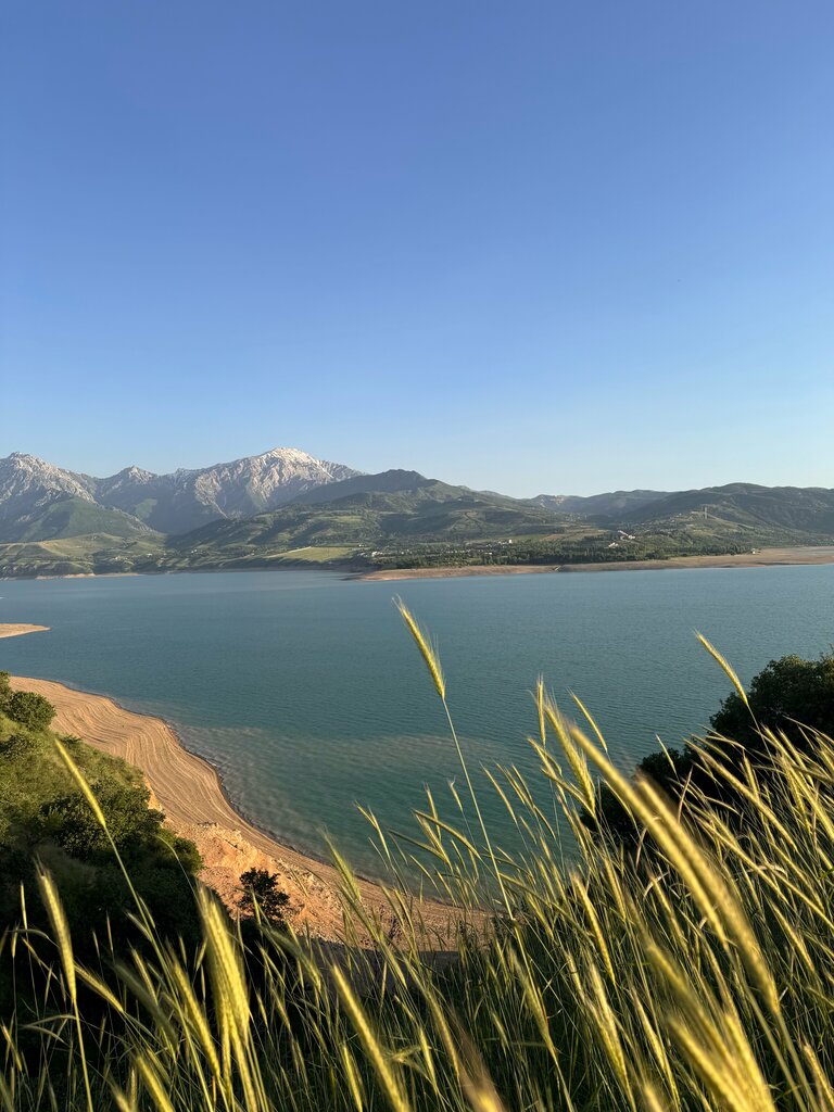 Seyir terası Observation Deck, Taşkent eyaleti, foto