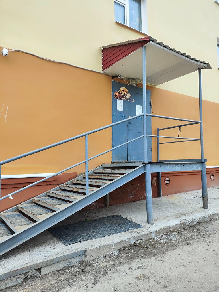 Evcil hayvan kuaförleri Лапус, Olenegorsk, foto