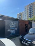Shark Detailing (Tambov, ulitsa Ryleyeva), detaylı oto bakımı  Tambov'dan