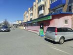 Фишка (prospekt 50 let Oktyabrya No:35), petshop  Petropavlovsk'tan