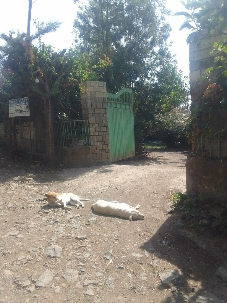 Konuk evi Negadras pension, Addis Ababa, foto