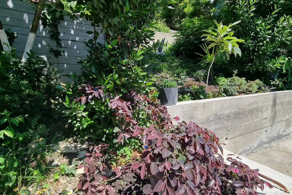 Konuk evi Funduk, Soçi, foto