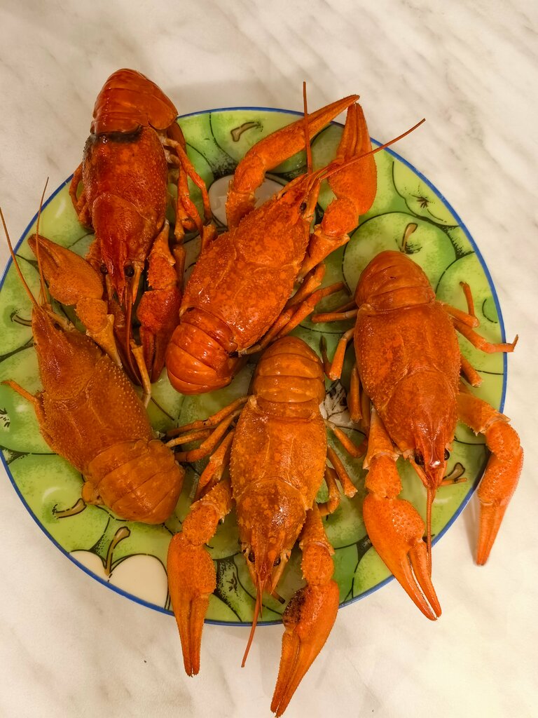 Balık ve deniz ürünleri Живые раки и квас, Nevinnomissk, foto