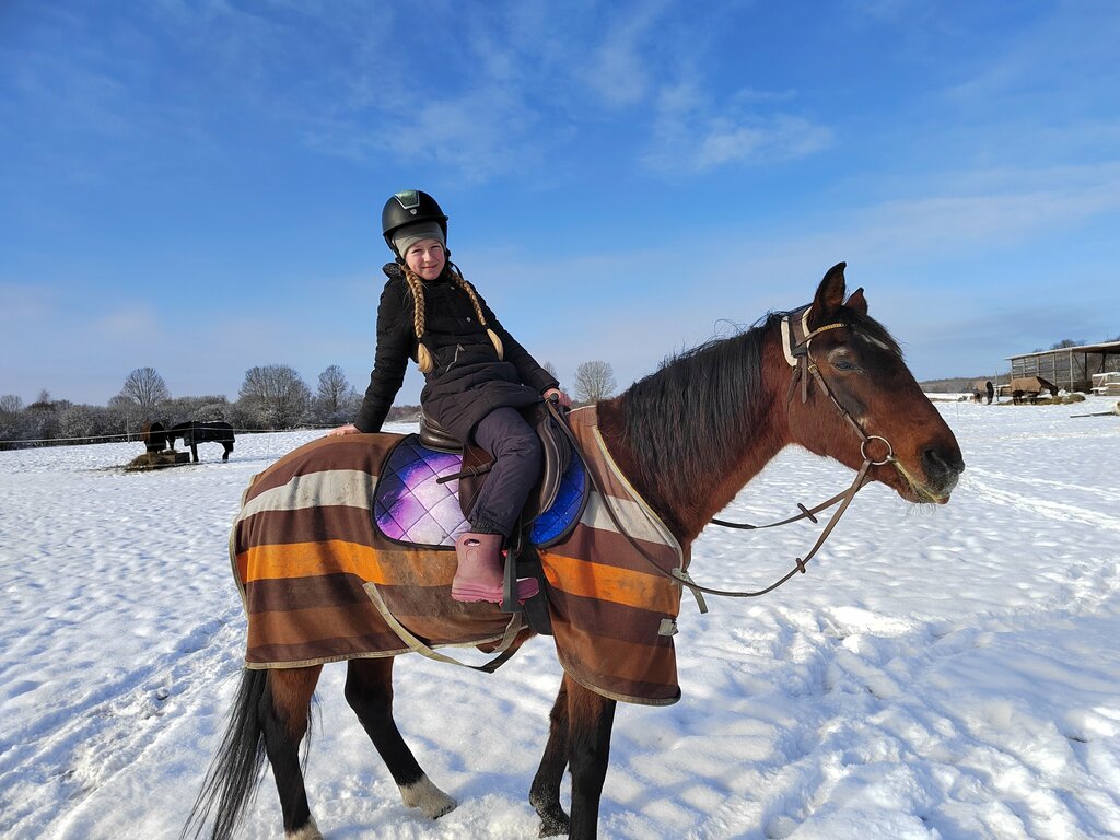 At ve binicilik kulüpleri КК Русское Поле, Pskovskaya oblastı, foto