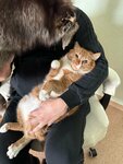 Государственное бюджетное учреждение Окружной центр ветеринарии, Ямальский отдел (ulitsa Khudi Seroko No:39, selo Yar-Sale), veteriner klinikleri  Yamal‑Nenets Özerk Bölgesi'nden