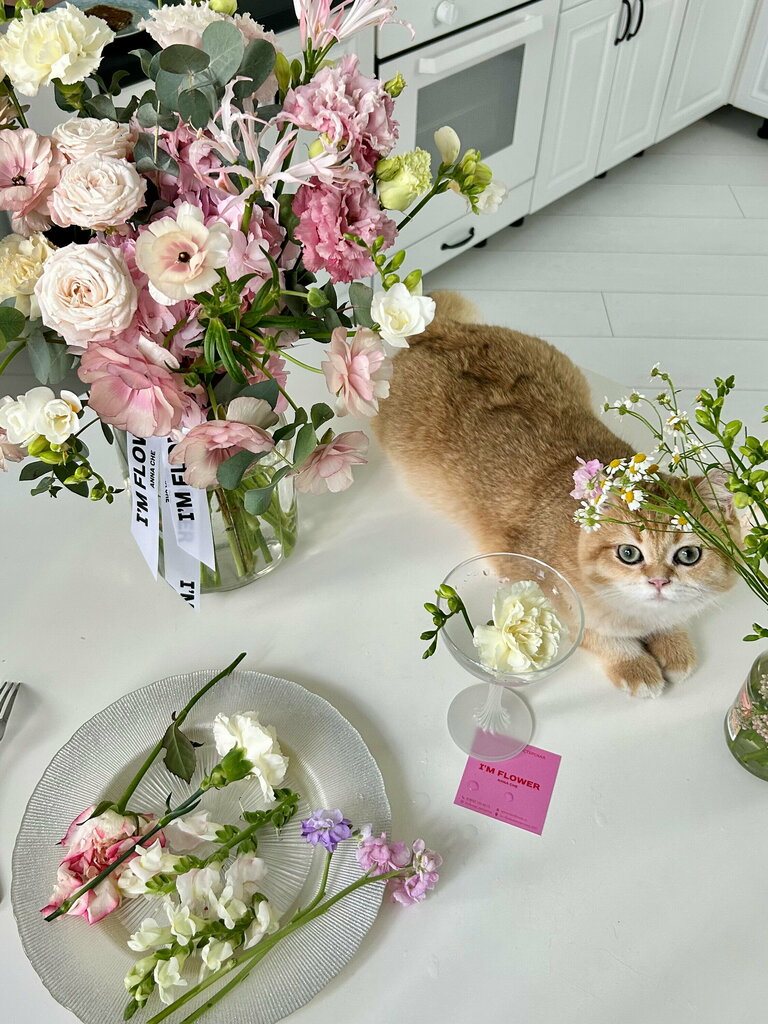 Çiçekçiler I'm Flower, Moskova, foto
