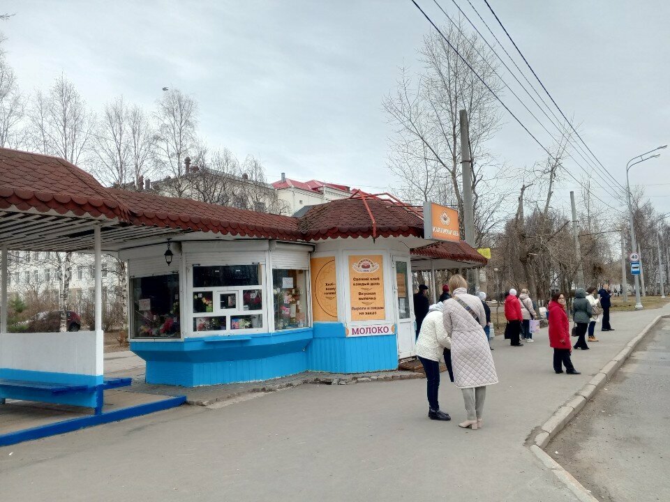 Çiçekçiler Цветы, Arhangelsk, foto