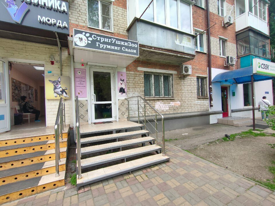 Evcil hayvan kuaförleri СтригУшкиЗоо, Krasnodar, foto