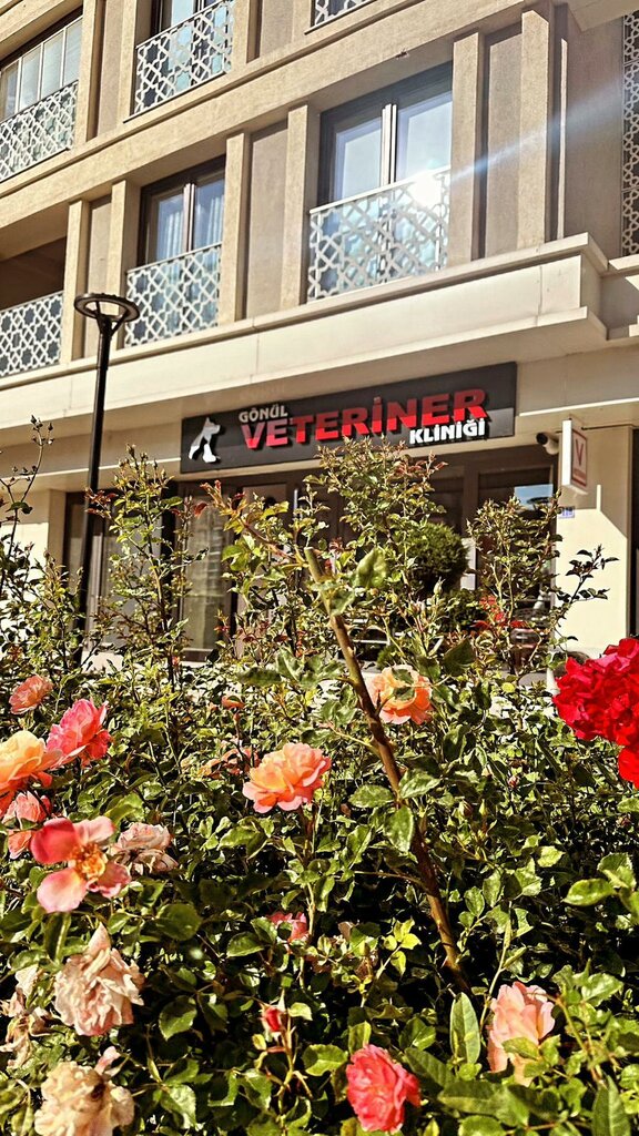 Veteriner klinikleri Gönül Veteriner Kliniği, Konya, foto