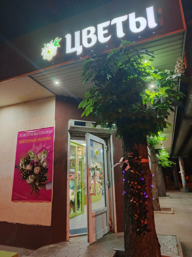 Çiçekçiler Анютины глазки, Krasnodar, foto