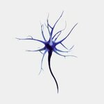 Neurologist Kiru O. V. (Starovolynskaya Street No:12к5), özel muayenehaneler  Moskova'dan