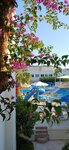 Summer Garden Apart & Hotel Swimming Pool (Muğla, Bodrum, Bitez Mah.), yüzme havuzları  Bodrum'dan