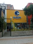 Puppis (Bogotá, Chapinero, Calle 85, 12-29), petshop