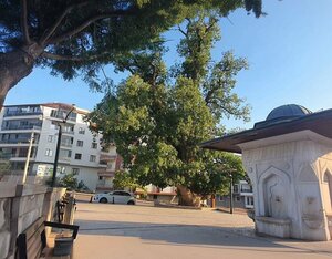 Ervah Kabristanı (Aksaray, Aksaray Merkez , Coğlaki Mah., Ervah Kabristanı), mezarlıklar  Aksaray'dan