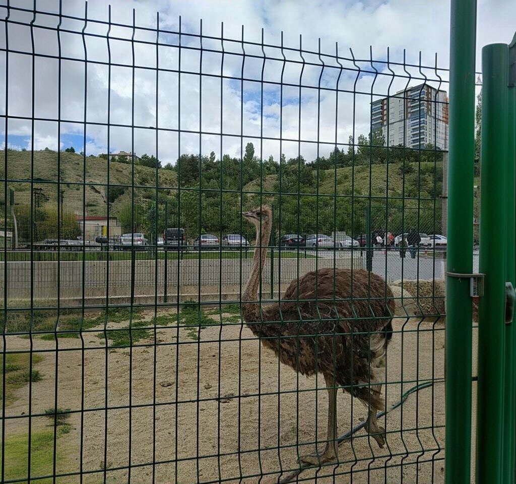 Kültür ve eğlence parkları Şahap Gürler Parkı, Ankara, foto