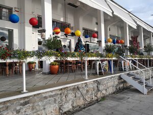 Cantina de Frida (Karadjordjeva Street No:2-4), kafe  Belgrad'dan