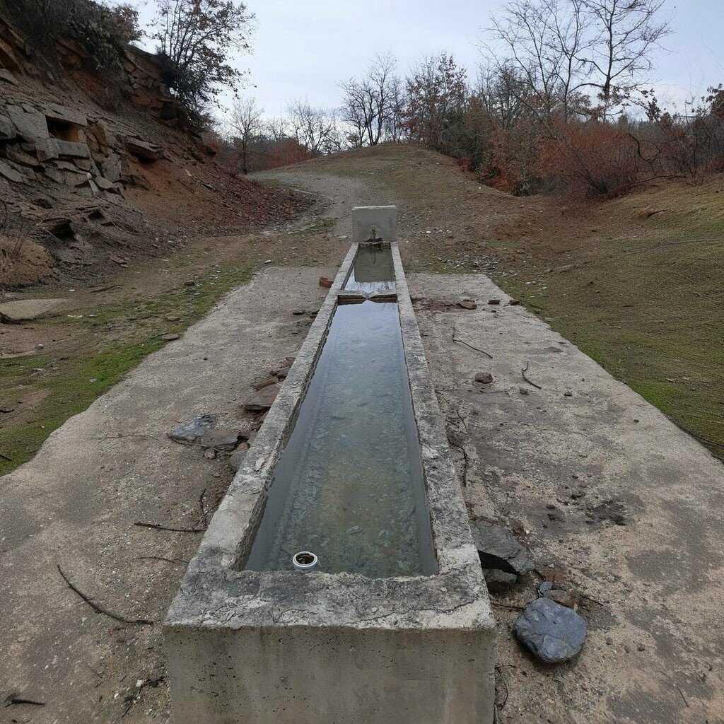 Muhtarlıklar Emiroğlu Köy Muhtarlığı, Boyabat, foto