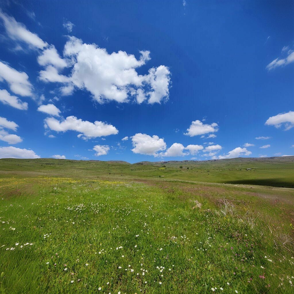Muhtarlıklar Değirmenli Mahalle Muhtarlığı, Çat, foto