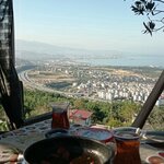 Cemil Babanın Çiftliği (Hatay, İskenderun, Kavaklıoluk Mah., Kavaklıoluk 8 Sok., 26), hayvancılık  İskenderun'dan